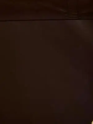 LOUIS VUITTON Monogram Canvas 40 Satchel Dog Carrier Bag - Brown