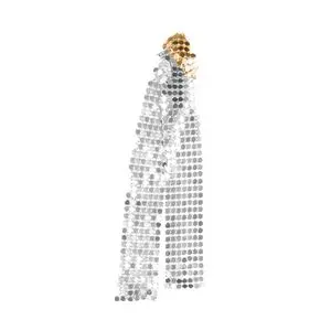 PALOMA LIRA Chain Earring - Silver