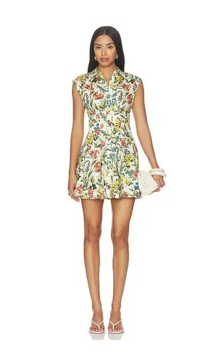 Alice + Olivia Kim Paneled Corset Flared Mini Shirt Dress In . Also - Multi