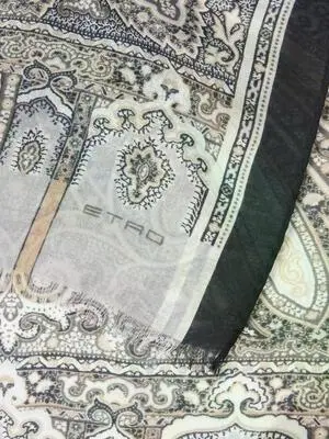 Etro Paisley-print Chevron Scarf