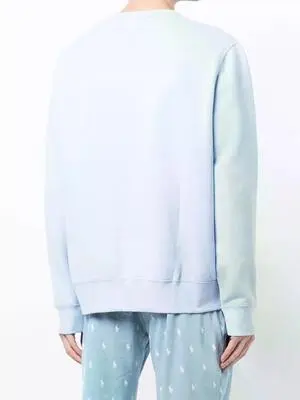 Polo Ralph Lauren Crewneck Sweatshirt With Signature Pony Motif