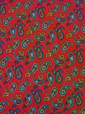BONA FURTUNA Paisley Pattern Neck Tie - Red