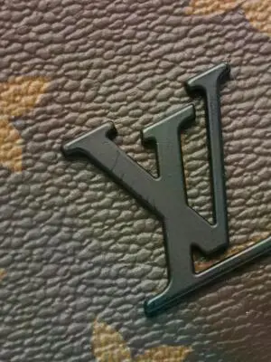 LOUIS VUITTON 2021s Avenue Monogram Macassar Sling Bag