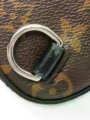 LOUIS VUITTON 2021s Avenue Monogram Macassar Sling Bag