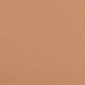Wolford Pure Thong