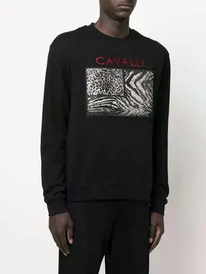 Roberto Cavalli Logo-print Sweatshirt