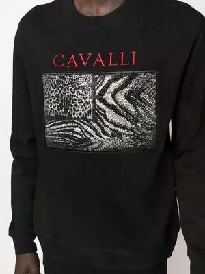 Roberto Cavalli Logo-print Sweatshirt