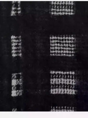Faliero Sarti Fringed Rectangular Scarf