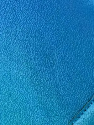 Hermès Jige Elan Chevre Mysore 29 Clutch Bag