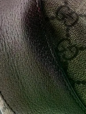 Gucci Dionysus Embroidered Gg Coated Canvas Medium Hobo Bag