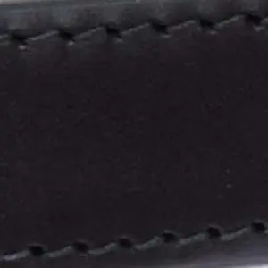 Isabel Marant Étoile Lowell Belt