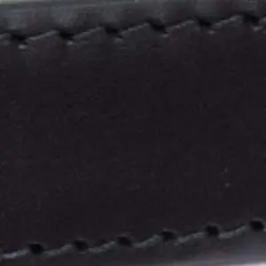 Isabel Marant Étoile Lowell Belt