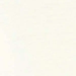 ETOILE Kilsen Tee-shirt - White