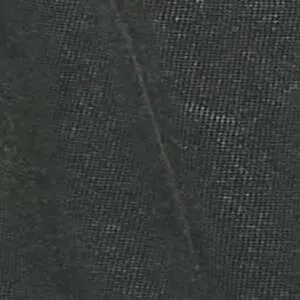 ETOILE Regina Pants
