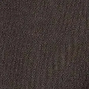 Isabel Marant Étoile Miley Cotton Hoodie