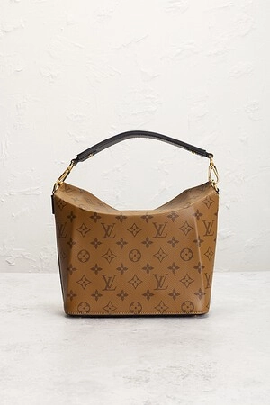 LOUIS VUITTON Monogram Reverse Bento Box Ew Shoulder Bag