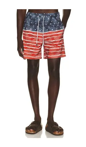 TRUNKS SURF & SWIM CO. Sano 6.5 Swim Short In . Also - Multi