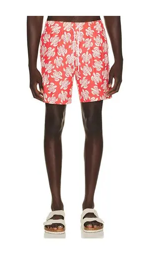 TRUNKS SURF & SWIM CO. Sano 6.5 Swim Short In . Also - Multi