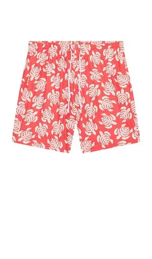 TRUNKS SURF & SWIM CO. Sano 6.5 Swim Short In . Also