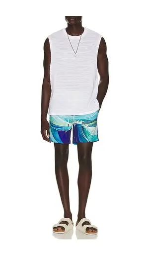 TRUNKS SURF & SWIM CO. Sano 6.5 Swim Short In . Also
