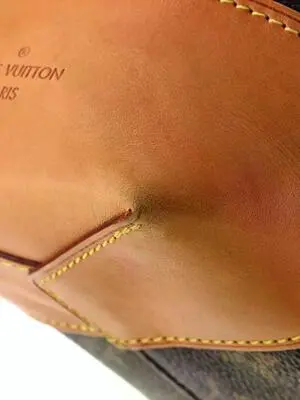 LOUIS VUITTON Monogram Canvas Pm Hobo Bag
