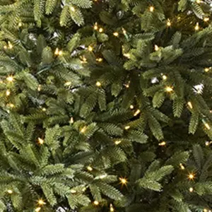 BALSAM HILL Norway Spruce Led Christmas Tree