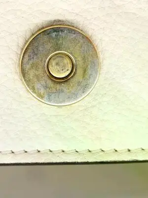 Chloé Nile Leather Medium Crossbody Bag