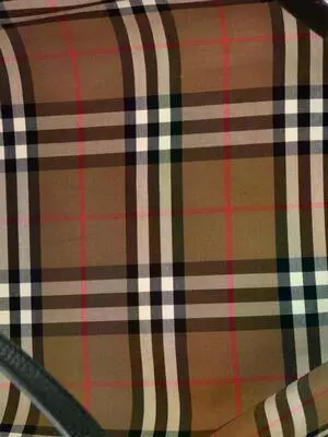 Burberry Leather Tote Bag With Check Canvas Interior
