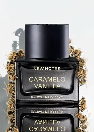 NEW NOTES Caramelo Vanilla Extrait De Parfum