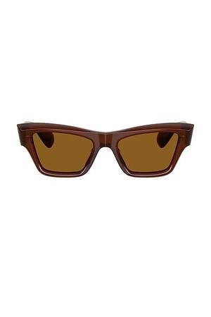 Oliver Spencer X Jil Sander Cat Eye Sunglasses - Brown