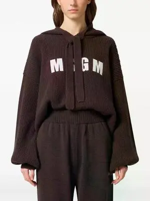 MSGM Logo-print Hoodie - Brown