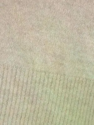 VANISE Cashmere Roll Neck Sweater