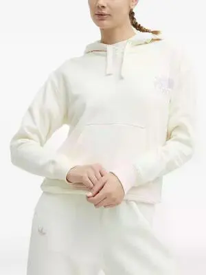 The North Face Plastic Free Peaks Hoodie - Neutrals