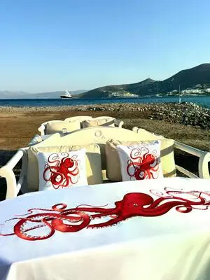 DYVOSHYV Octopus's Hospitality Embroidered Pillow