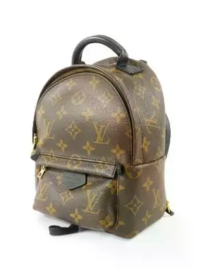 LOUIS VUITTON Palm Springs Mini Backpack - Brown