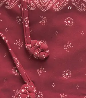 Devon Windsor Bandana Print Eadie Bikini Briefs