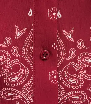 Devon Windsor Rosie Bandana Print Cropped Shirt