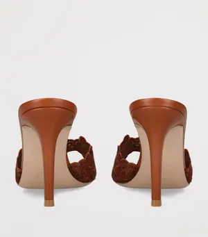 GIANVITO ROSSI Lace Yvonne Mules 85