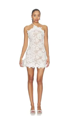 Lovers And Friends Lace Cocktail Dresses