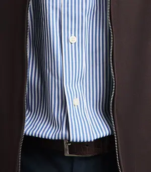 Polo Ralph Lauren Cotton Stripe Custom Fit Shirt