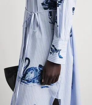 Erdem Floral Stripe Midi Shirt Dress