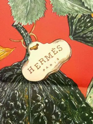 Hermès 2010s Citrouilles & Coloquintes Scarf