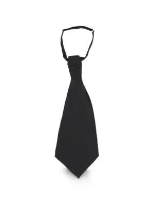 Corneliani Solid-colour Ascot Tie - Black