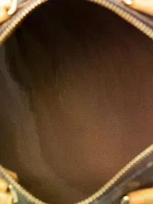 LOUIS VUITTON 2005 Monogram Speedy 25 Boston Bag