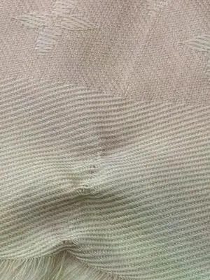 LOUIS VUITTON 2018 Monogram Fringed Shawl