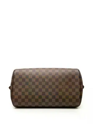 LOUIS VUITTON 2005 Damier Ebene Ribera Mm Handbag