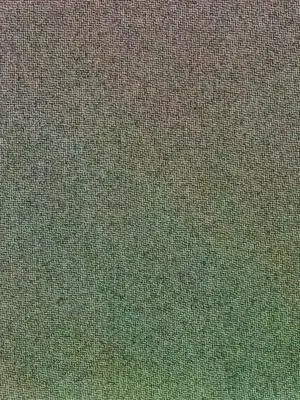 Faliero Sarti Alberto Frayed Scarf