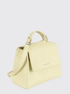 Orciani Handbag Colour