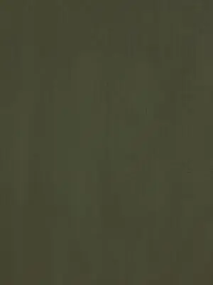 Federica Tosi Midi Pencil Skirt In Silk - Green