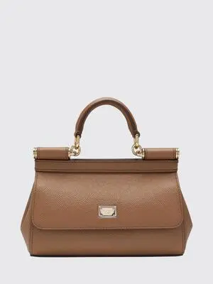 Dolce & Gabbana Dolce & Gabbana Top Handle Handbag Brown